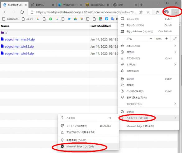 Chromiumベースの新しいMicrosoft EdgeブラウザをSeleniumBasicを使って自動操作させWebスクレイピングする方法 | 技術屋さんの日記帳